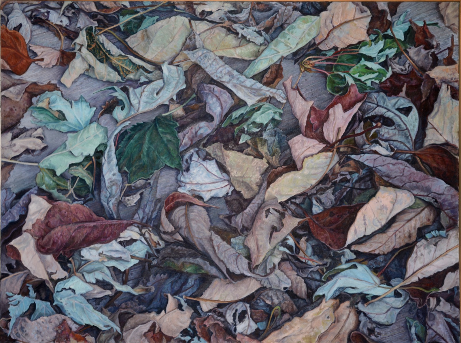 NATURE SERIES – James Sparks – Artist